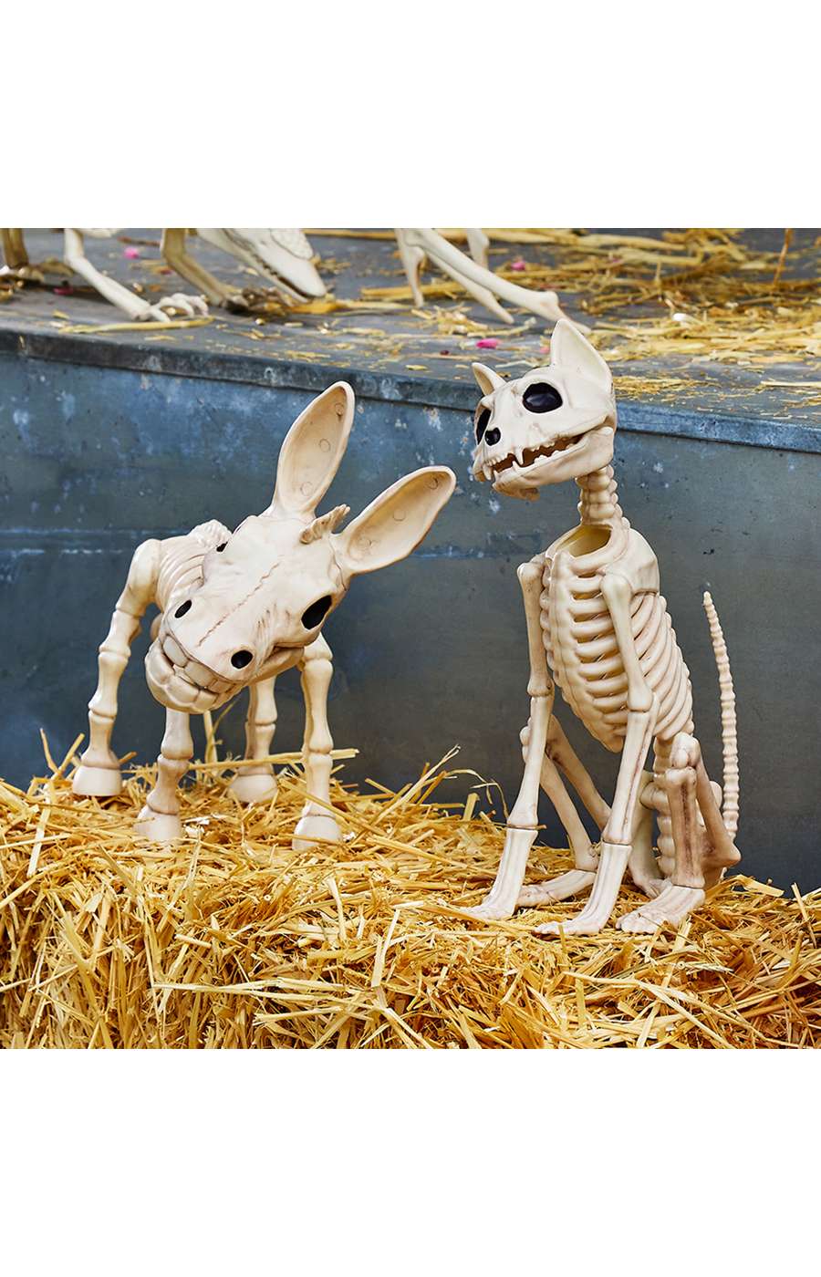 Destination Holiday Sitting Cat Halloween Skeleton - Shop Seasonal ...