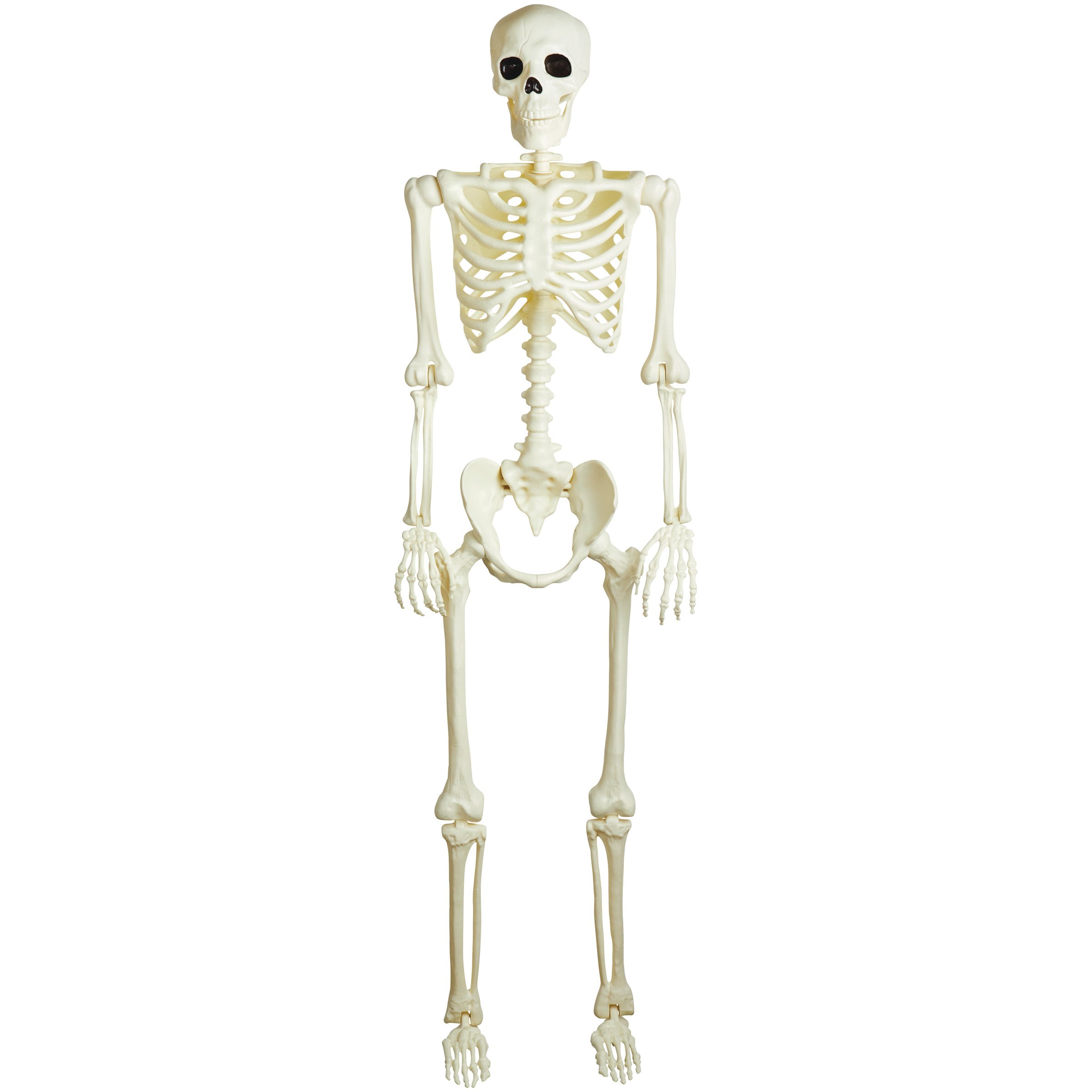 Destination Holiday Halloween Posable Skeleton - Shop Seasonal decor at ...