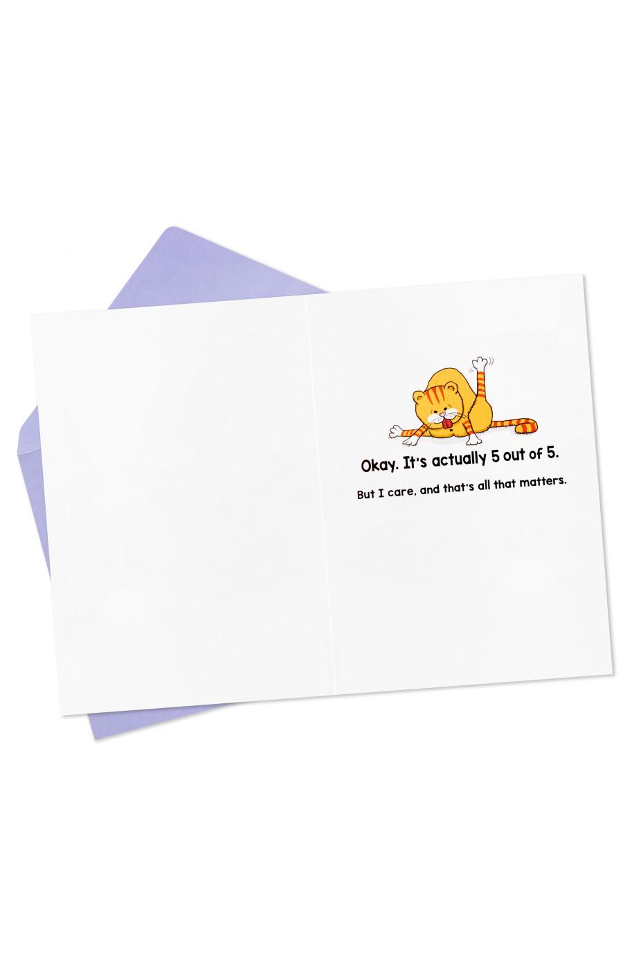 Hallmark Shoebox Funny Cats Don't Care Birthday Card - E20 - Shop ...