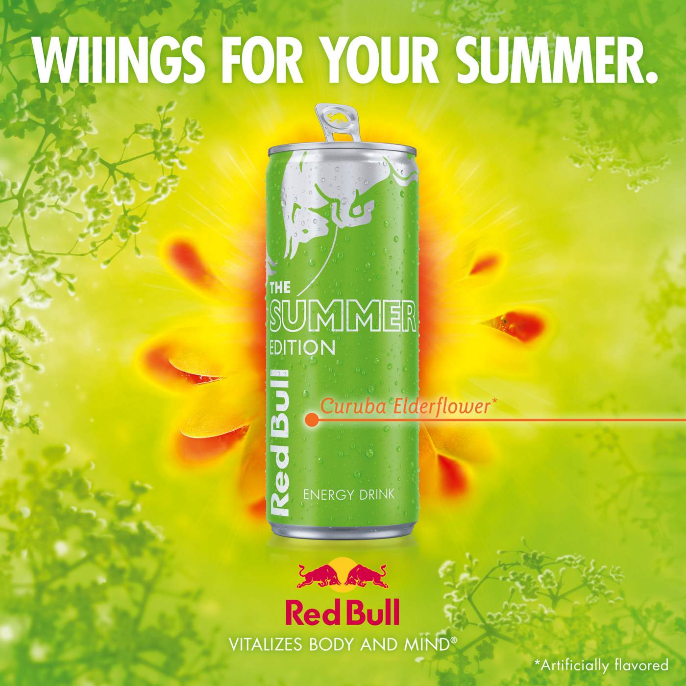 Red Bull Green Edition Energy Drink - Curuba Elderflower - Shop Sports ...
