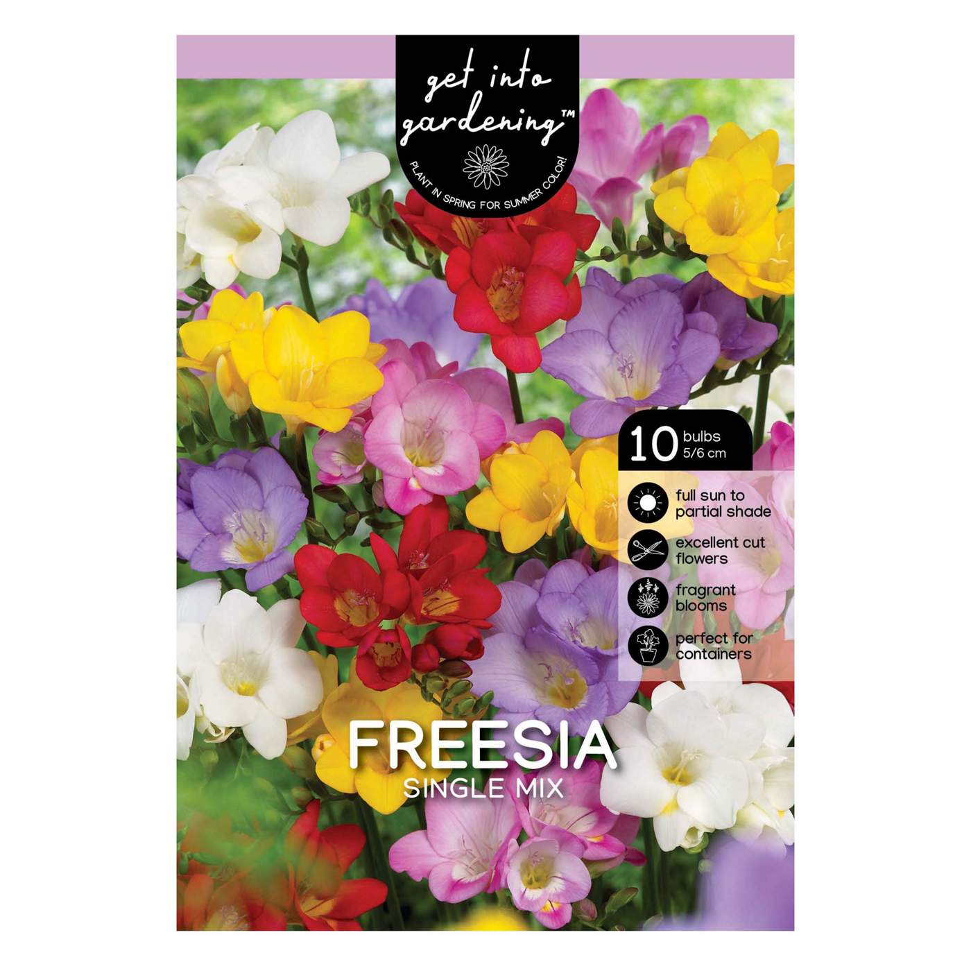 Freesia Single Mix - Shop Seeds at H-E-B