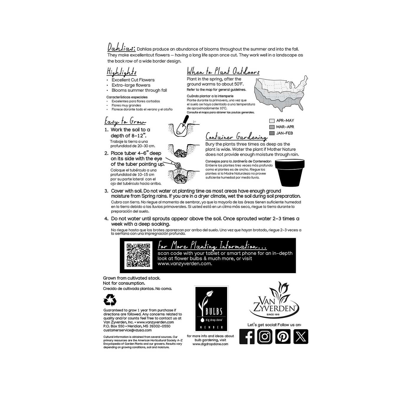 Dahlia Garden Wonder Bulb - Shop Seeds at H-E-B