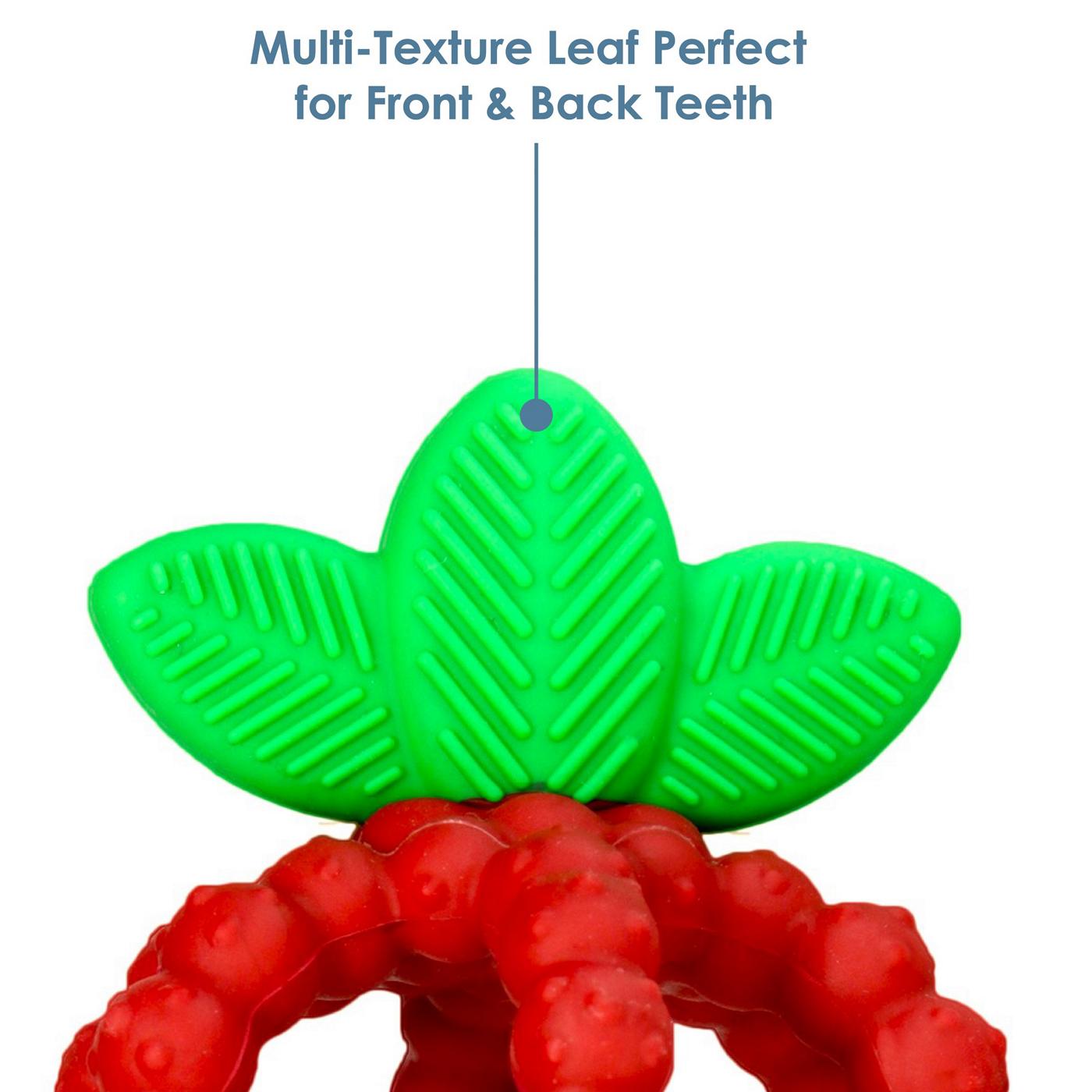 RaZbaby Raz-berry Bites Teething Toy - Shop Teething at H-E-B
