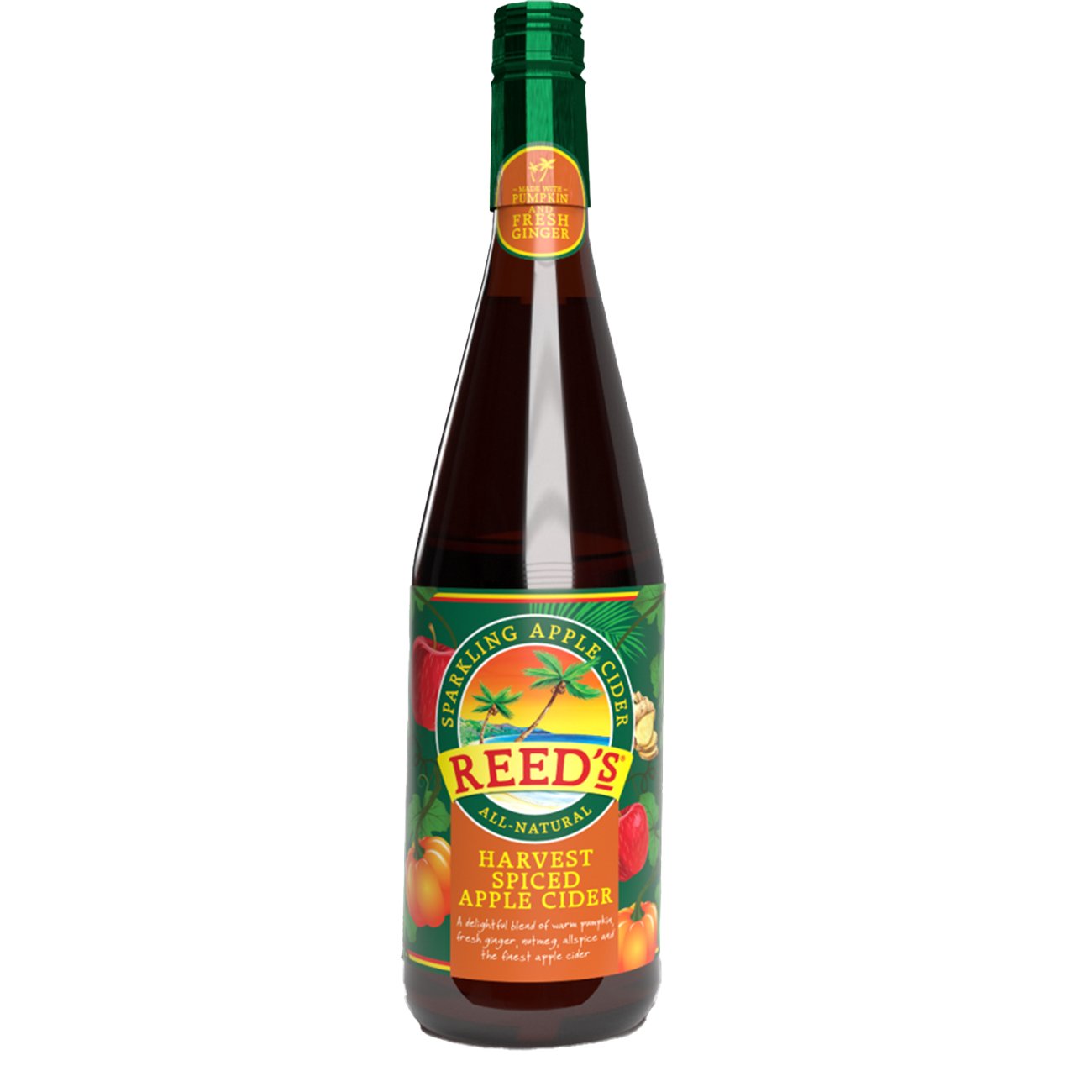 Reeds Spiced Apple Cider Sparkling Apple Cider - Shop Soda at H-E-B