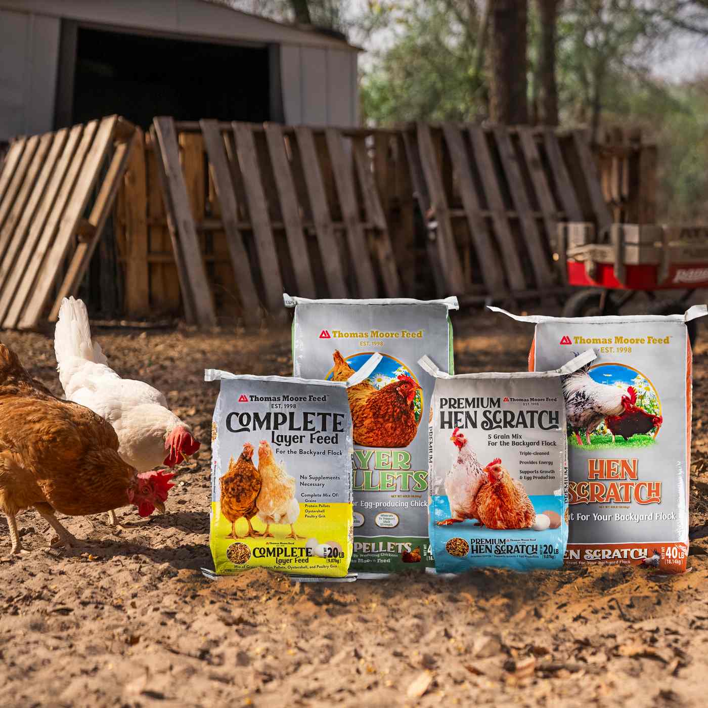 Thomas Moore 3 Grain Hen Scratch - Shop Food at H-E-B