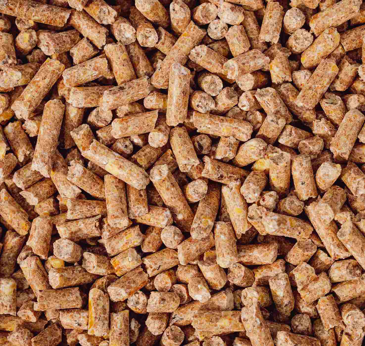 Thomas Moore Layer Pellets - Shop Food at H-E-B