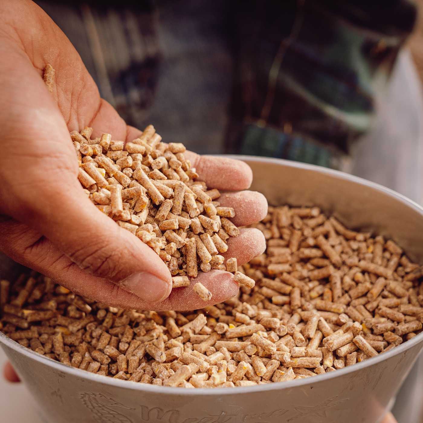 Thomas Moore Layer Pellets - Shop Food at H-E-B