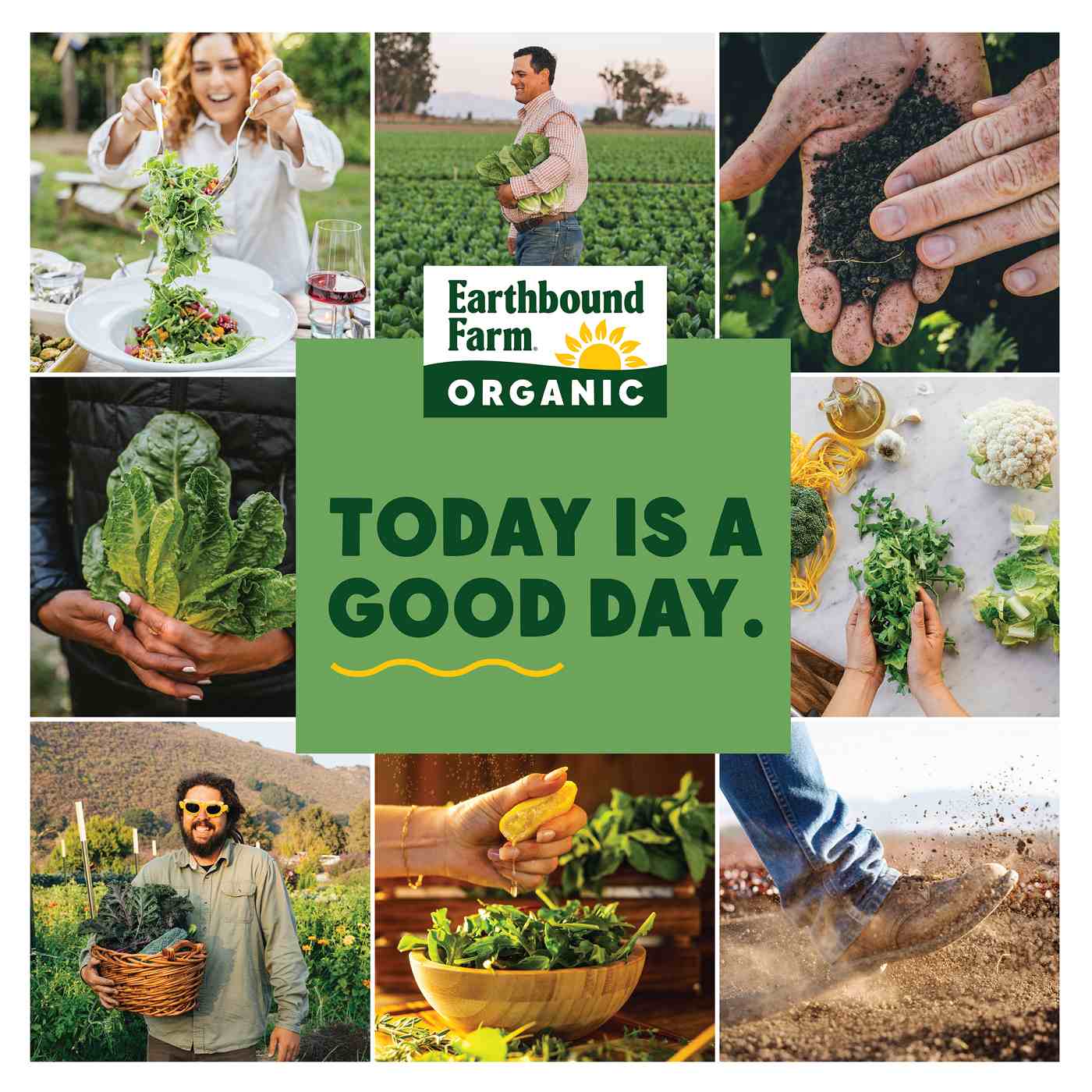 Earthbound Farm Organic Sweet Chard & Little Gem Crunch - Shop Lettuce ...