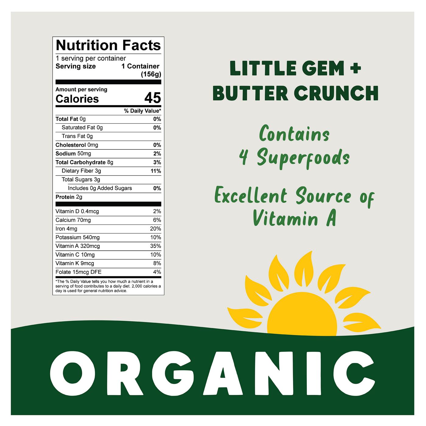 Earthbound Farm Organic Little Gem & Butter Crunch - Shop Lettuce ...