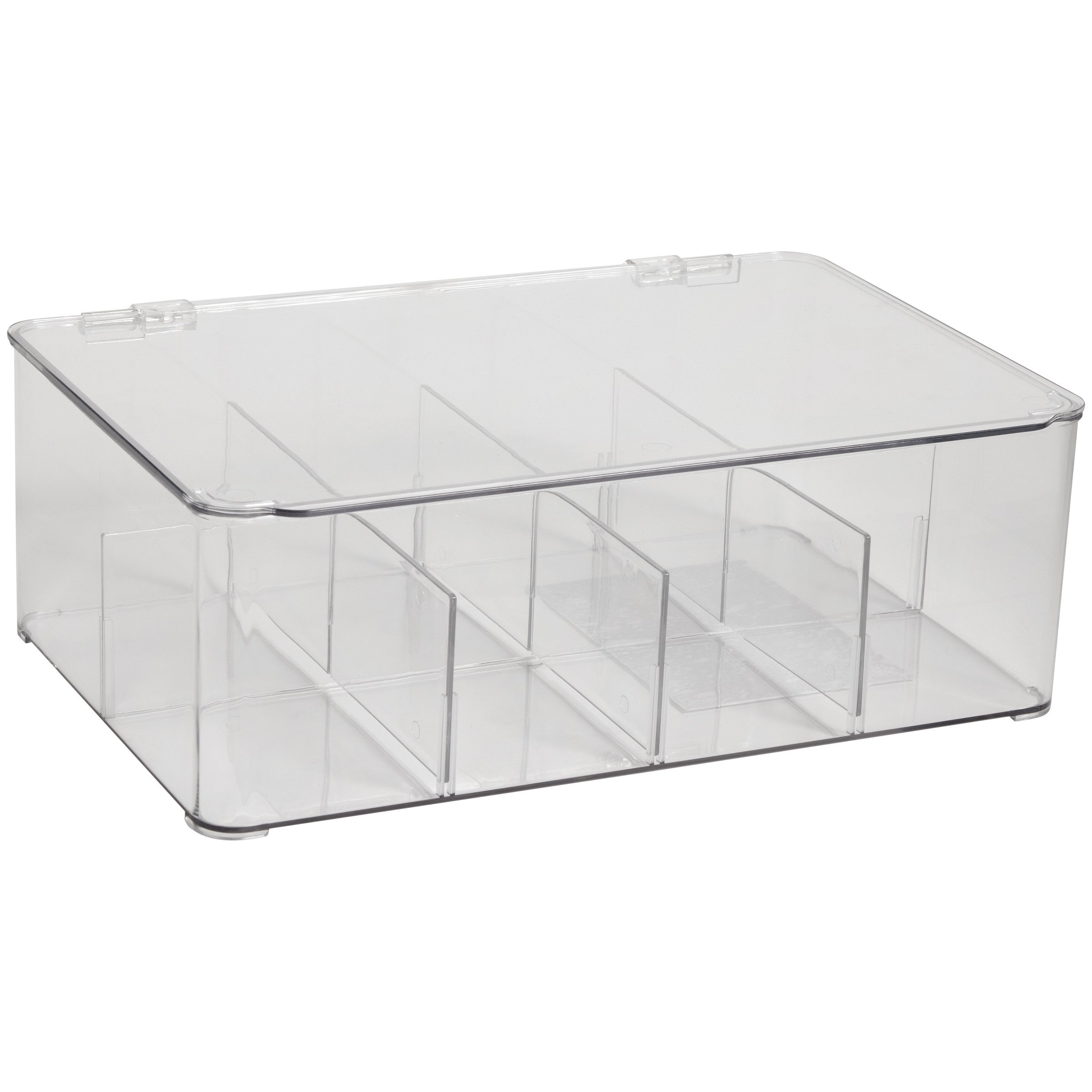 Destination Holiday Divided Storage Bin with Hinged Lid - Shop Storage ...