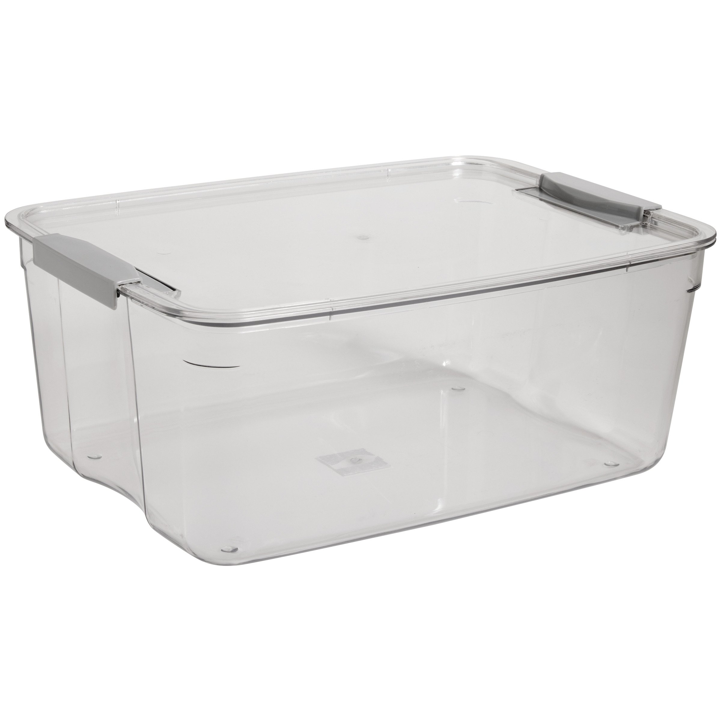 Destination Holiday Latching Rectangle Storage Bin, Medium - Shop ...