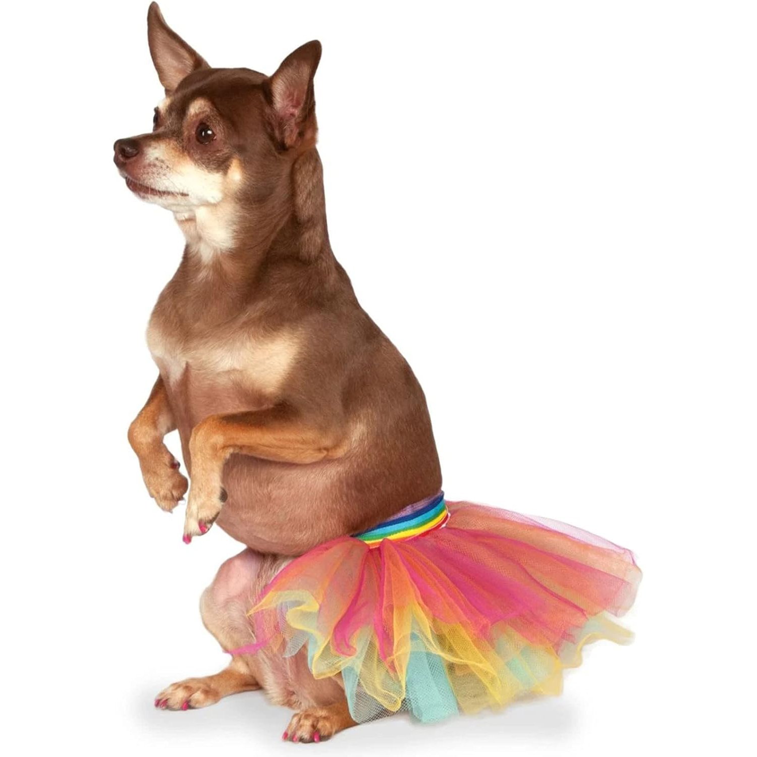 Rubie's Pet Tutu - Rainbow - Shop Clothes at H-E-B