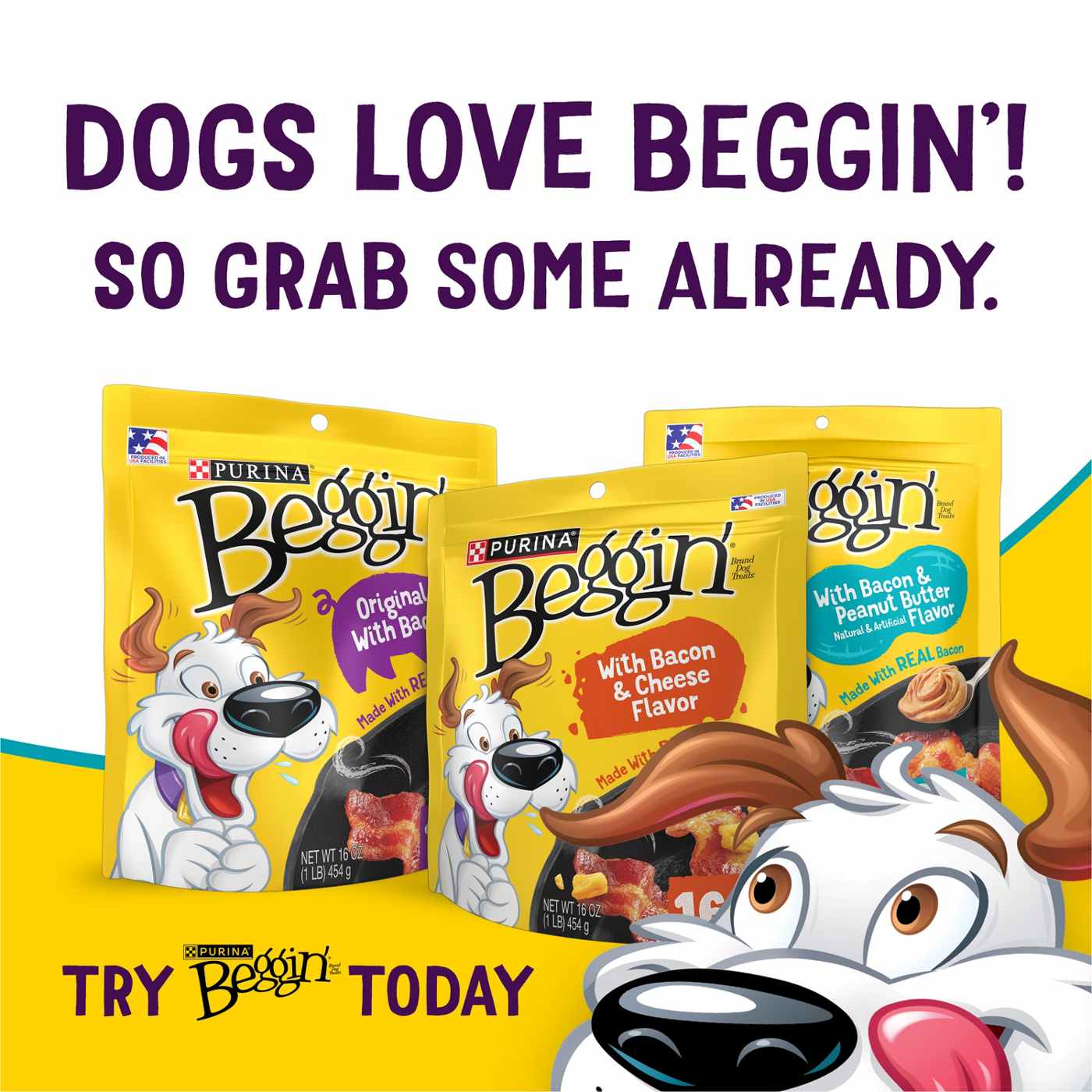 Beggin' Flavor Stix Bacon & Peanut Butter Dog Treats - Shop Soft ...