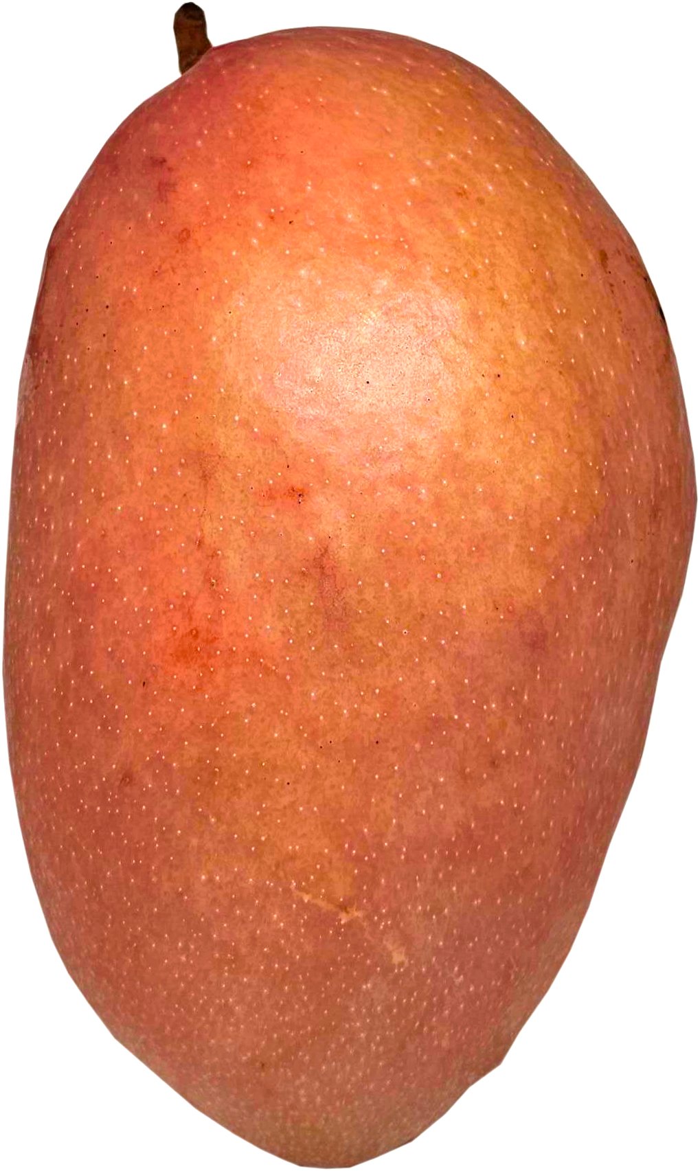 Fresh Pink Elephant Mango, ea | Central Market - Really Into Food