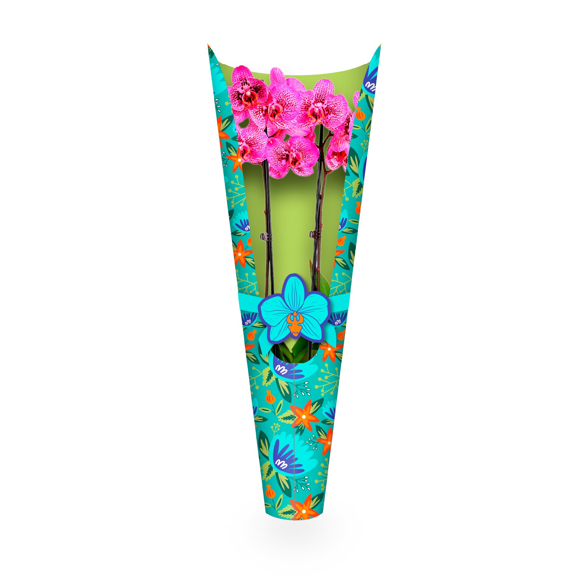 BLOOMS by H-E-B Mystic Orchid - Shop Flowers & arrangements at H-E-B