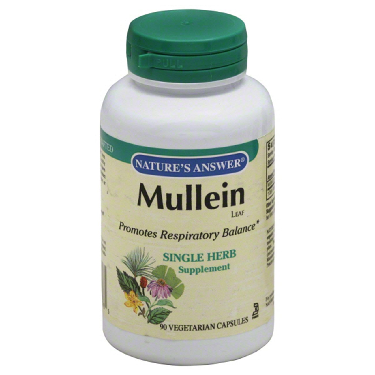 Nature's Answer Mullein Leaf Full Spectrum Herb 500mg - Shop Herbs ...