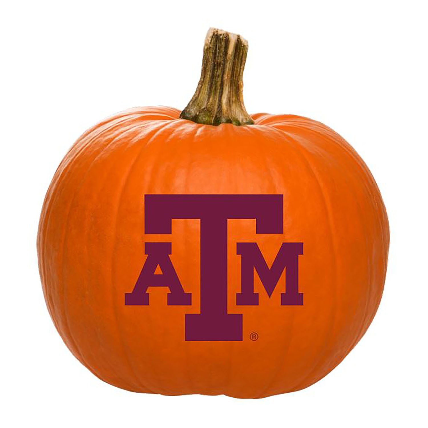 Fresh Painted NCAA A&M Aggies Pumpkin - Shop Squash & pumpkins at H-E-B