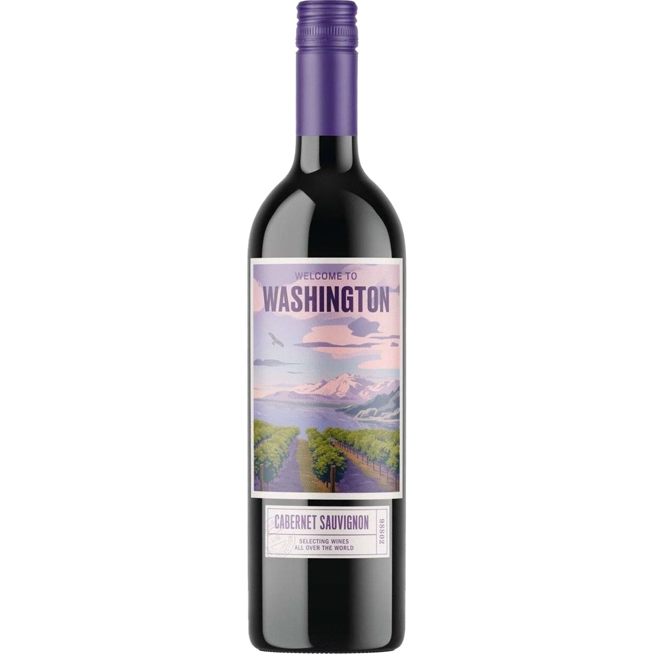 Welcome To Washington Cabernet Sauvignon Red Wine - Shop Wine at H-E-B