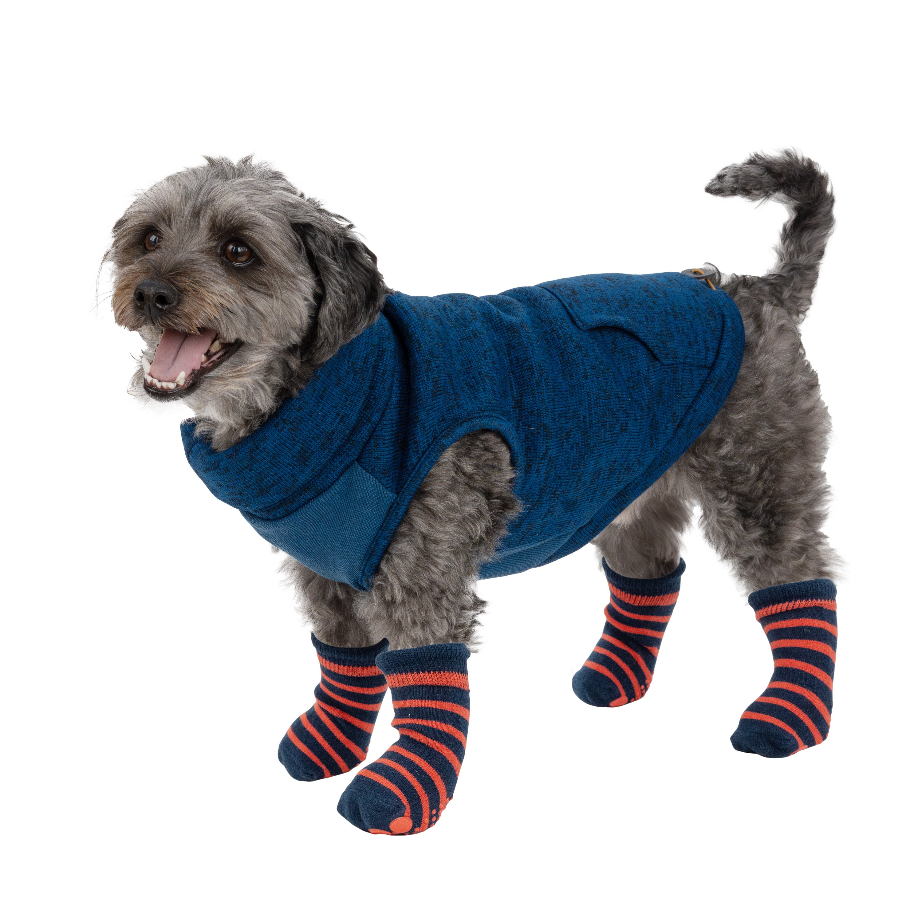 Simply Dog Blue Striped Socks XS/S - Shop Clothes at H-E-B