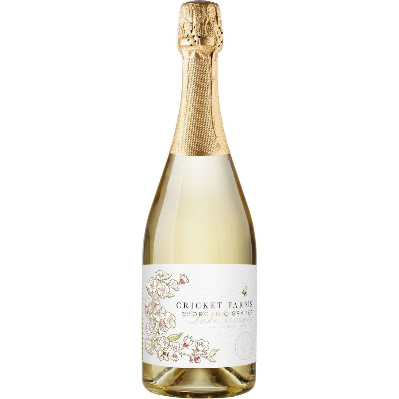 Cricket Farms Organic Brut Sparkling White Wine - Shop Wine at H-E-B