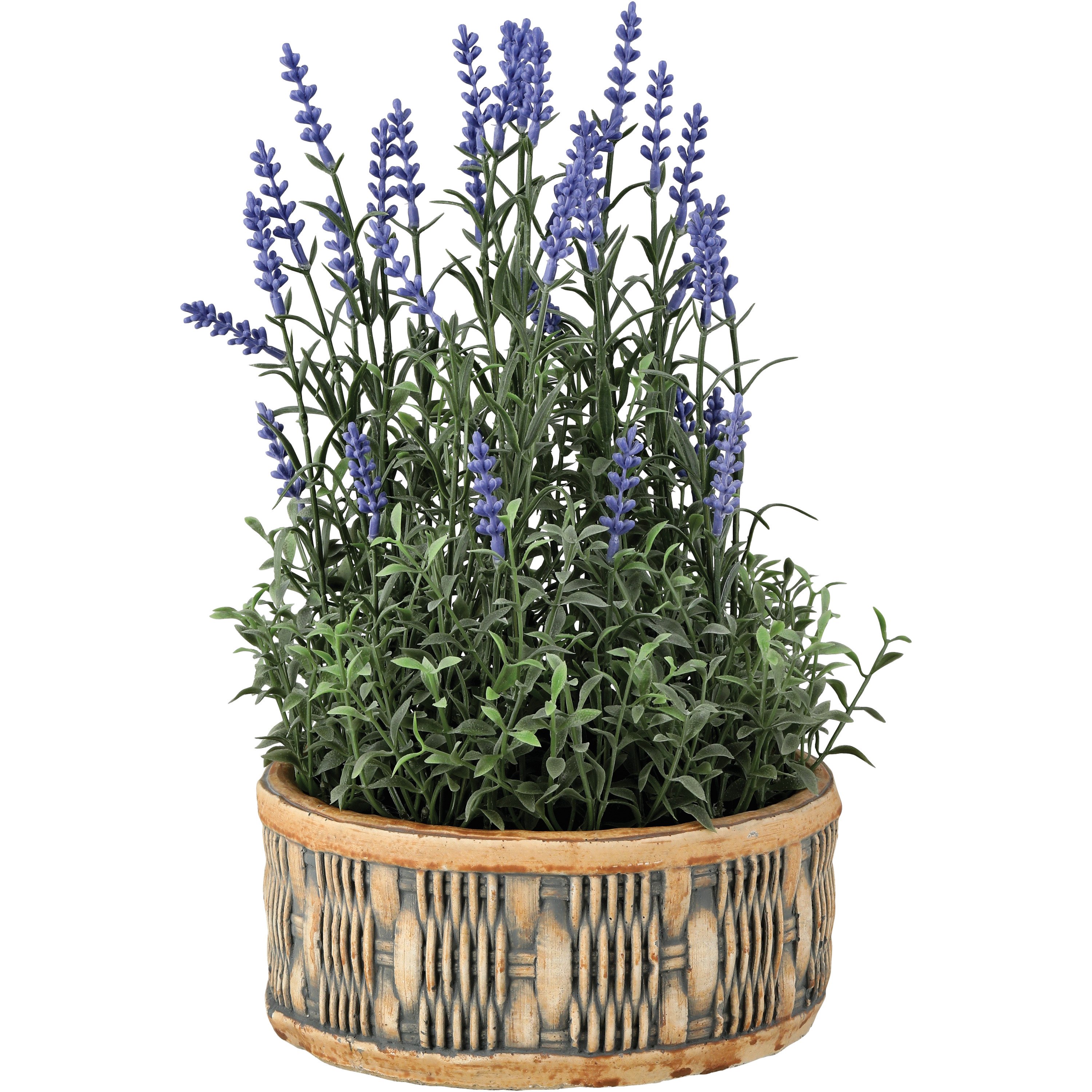 Haven + Key Lavender Faux Botanical Round Cement Pot - Shop Seasonal ...