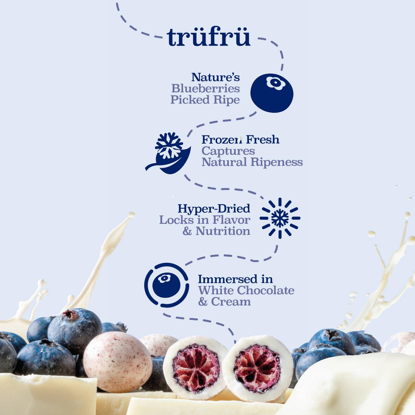 Tru Fru Freeze Dried Blueberries & Crème - Shop Candy at H-E-B