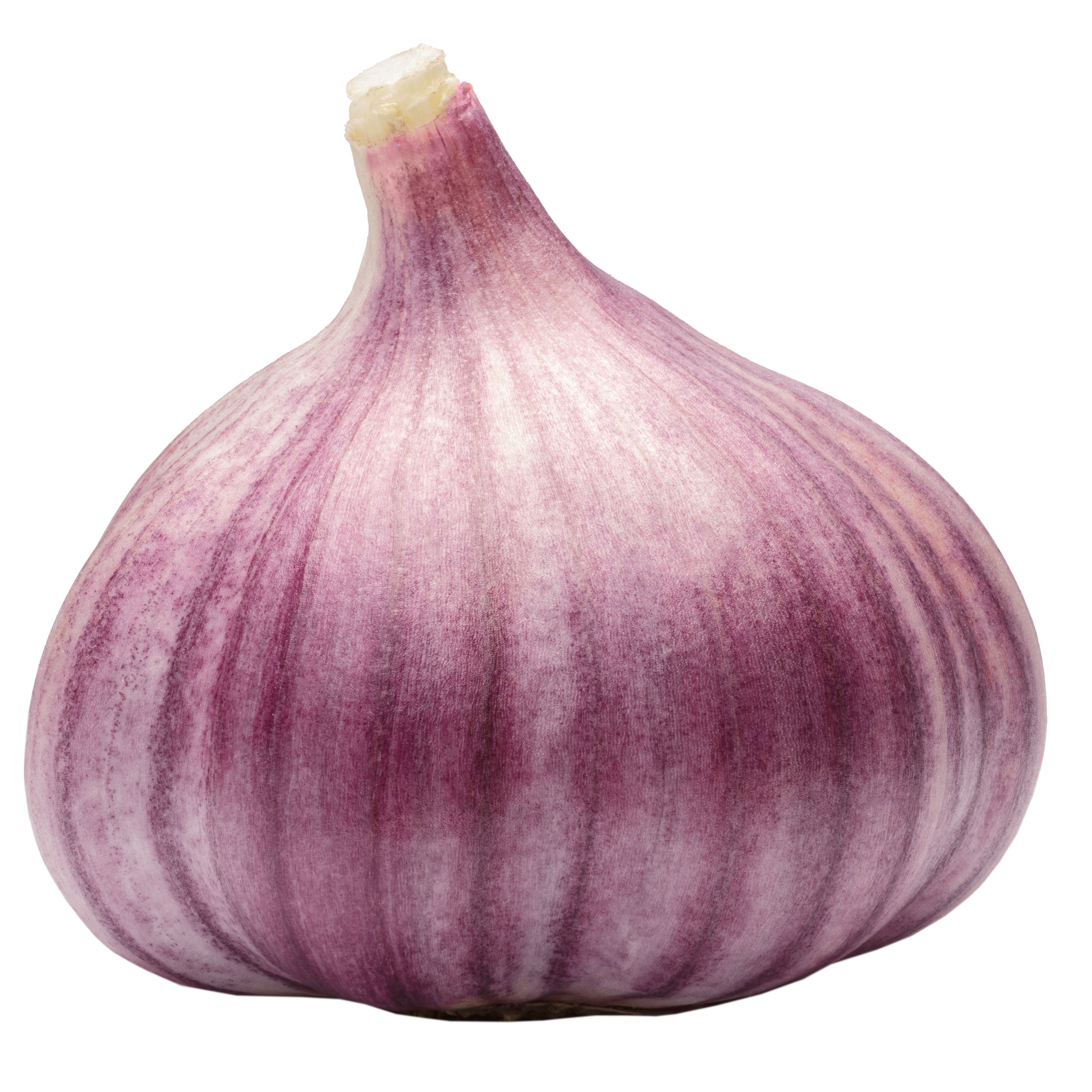 French Purple Garlic Violet De Cadours | Central Market - Really Into Food