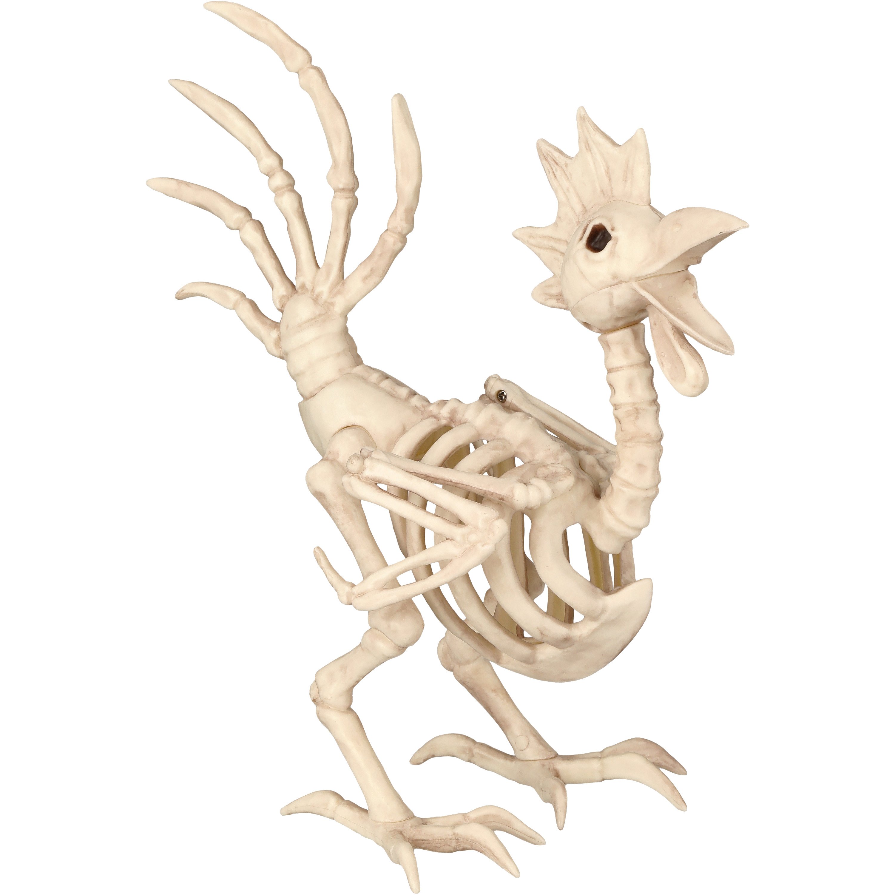 Destination Holiday Rooster Halloween Skeleton - Shop Seasonal decor at ...