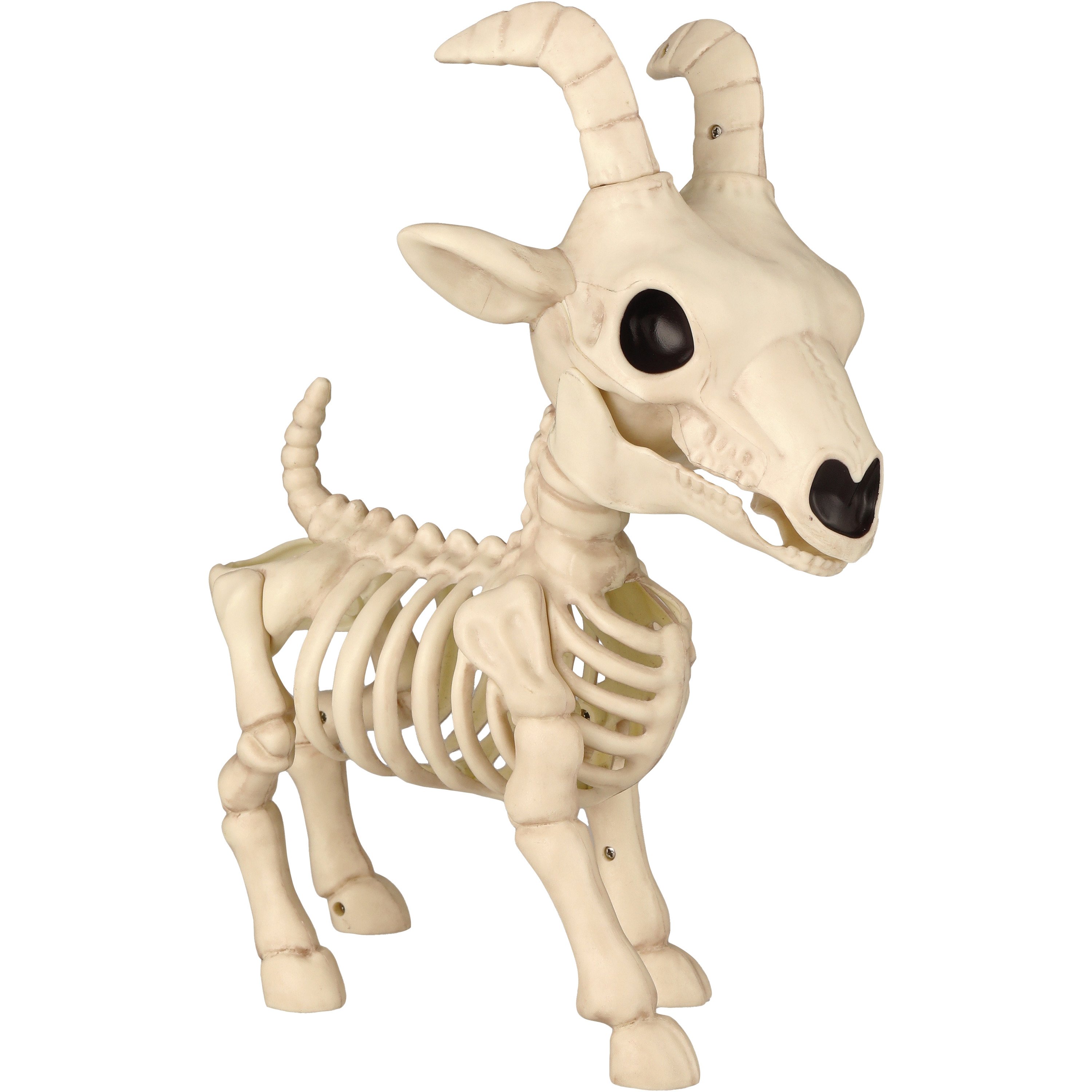 Destination Holiday Goat Halloween Skeleton - Shop Seasonal decor at H-E-B