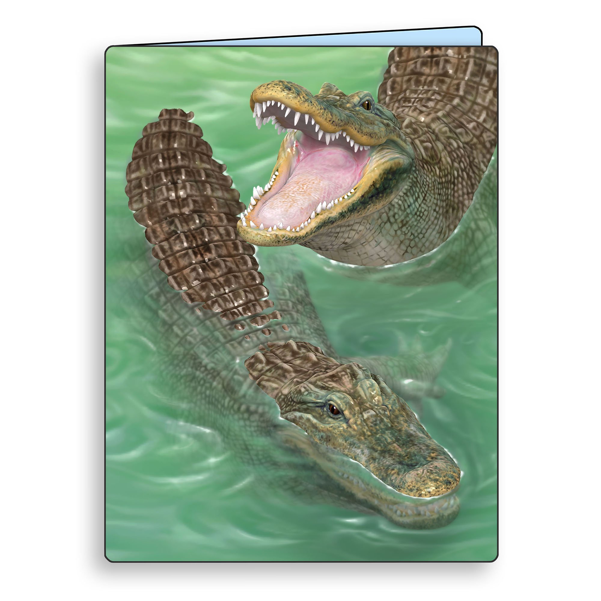 Artgame Lenticular Poly Folder - Smiling Crocodiles - Shop Folders at H-E-B