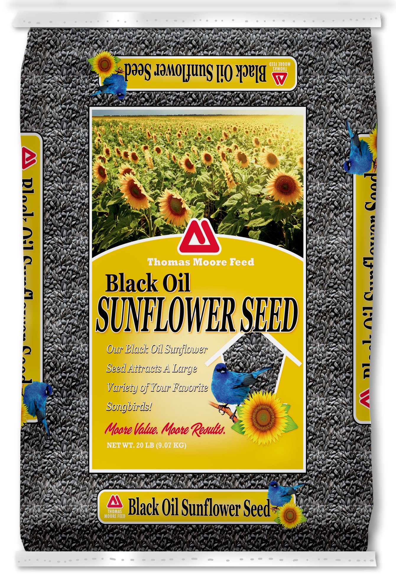 Sunflower Seeds Black