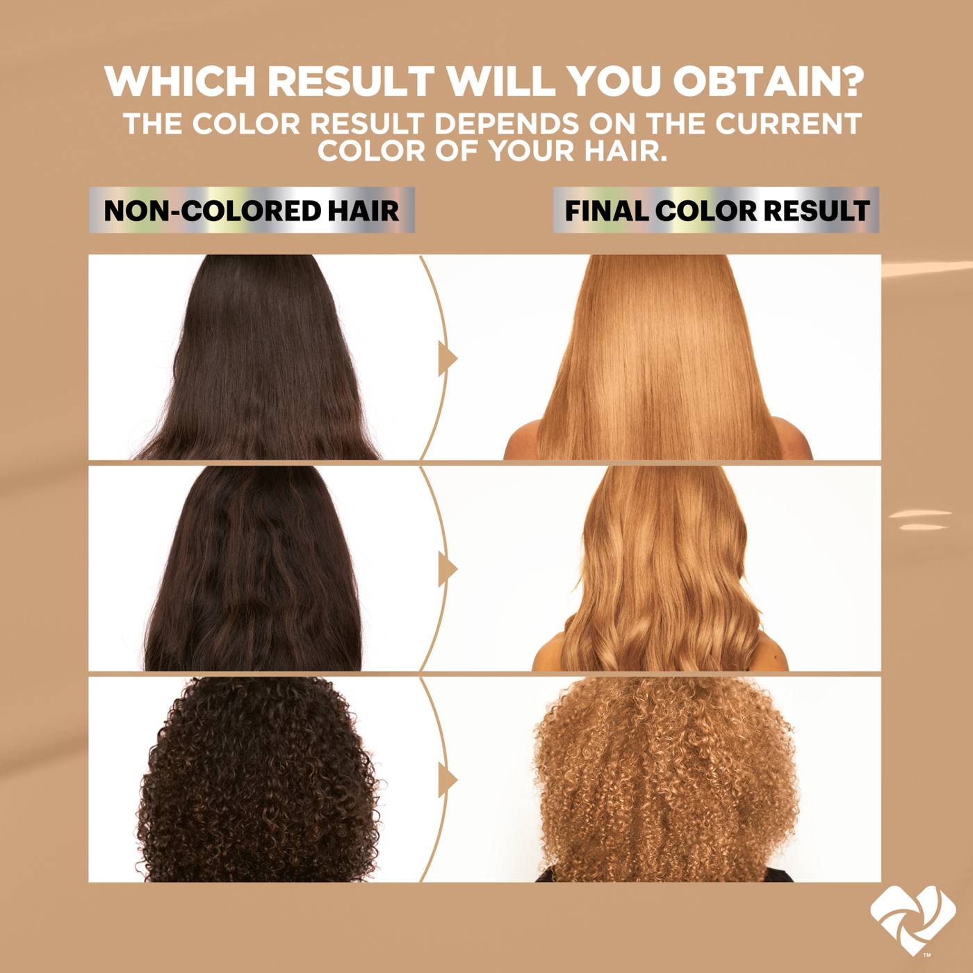 Garnier Nutrisse Ultra Color Hair Color Kit - LC2 Caramelo Blonde ...