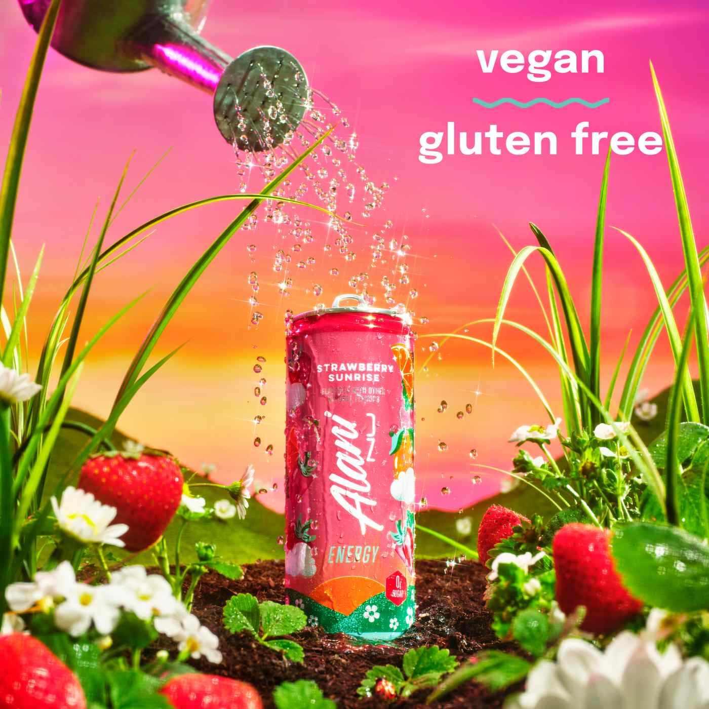 Alani Nu Zero Sugar Energy Drink - Strawberry Sunrise - Shop Sports ...