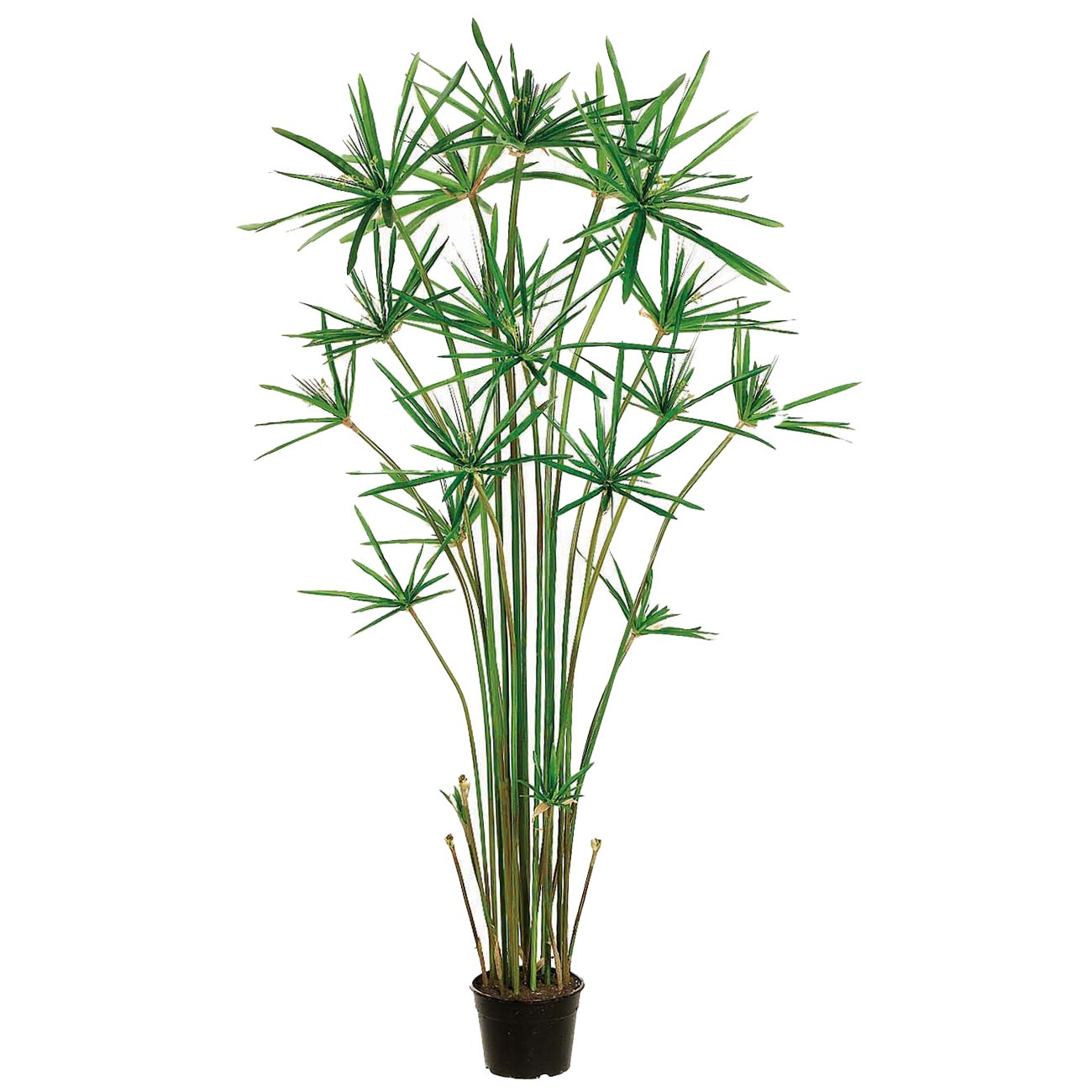 Allstate Floral Artificial Cypress Grass Tree in Pot - Shop Seasonal ...