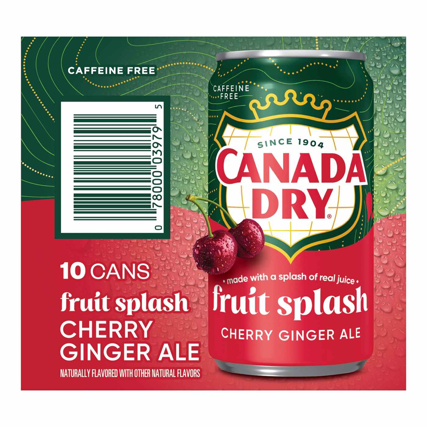 Canada Dry Fruit Splash Cherry Ginger Ale Mini Cans, 10 pk - Shop Soda ...