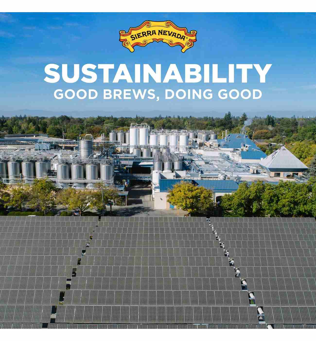 Sierra Nevada Trail Pass Non Alcoholic Hazy IPA Craft Beer 6 pk Cans ...