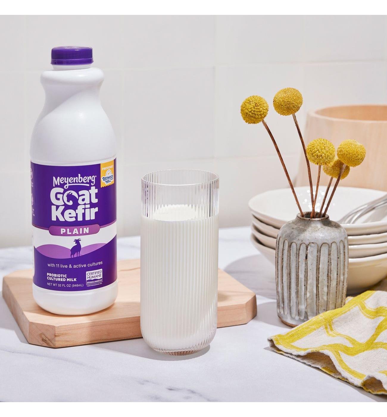 Meyenberg Plain Goat Kefir - Shop Yogurt at H-E-B