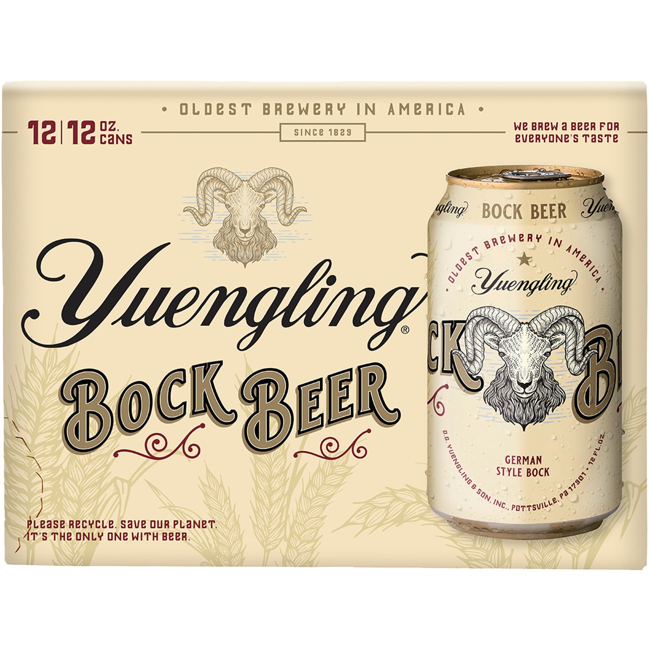 Yuengling Bock Beer 12 pk Cans - Shop Beer at H-E-B