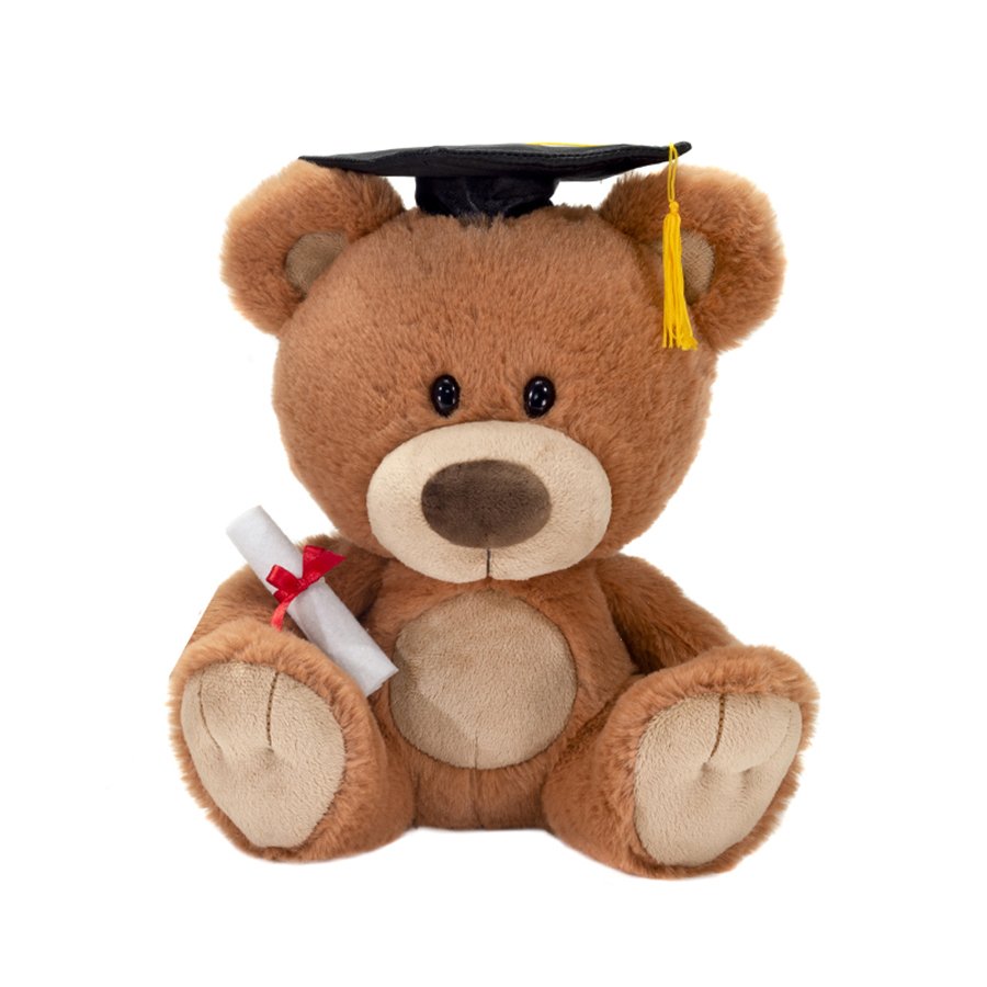 Fiesta Teddy Bear Graduation Plush - Assorted - Shop Plush toys at H-E-B