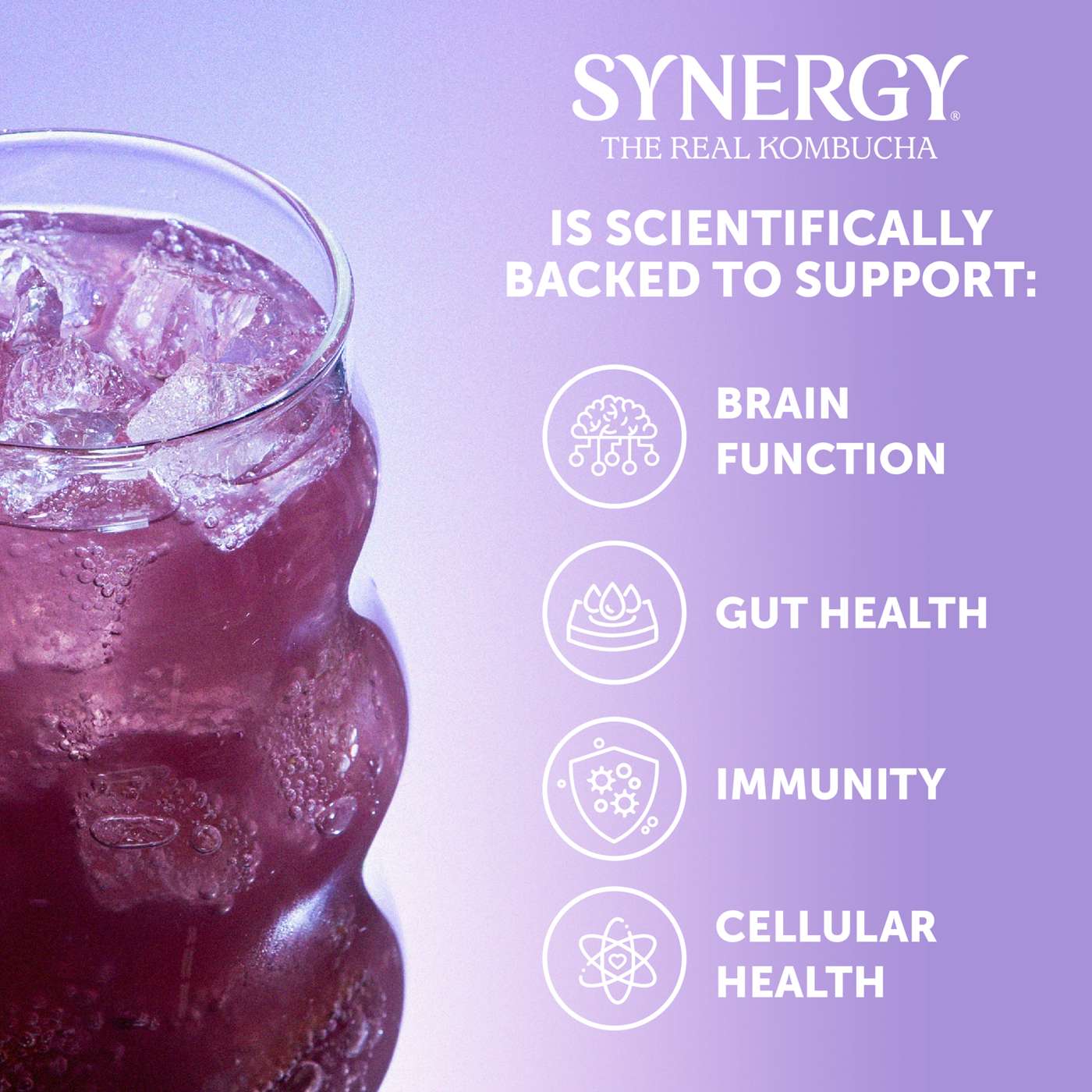 SYNERGY 30th Anniversary Wildflower Kombucha - Shop Tea at H-E-B