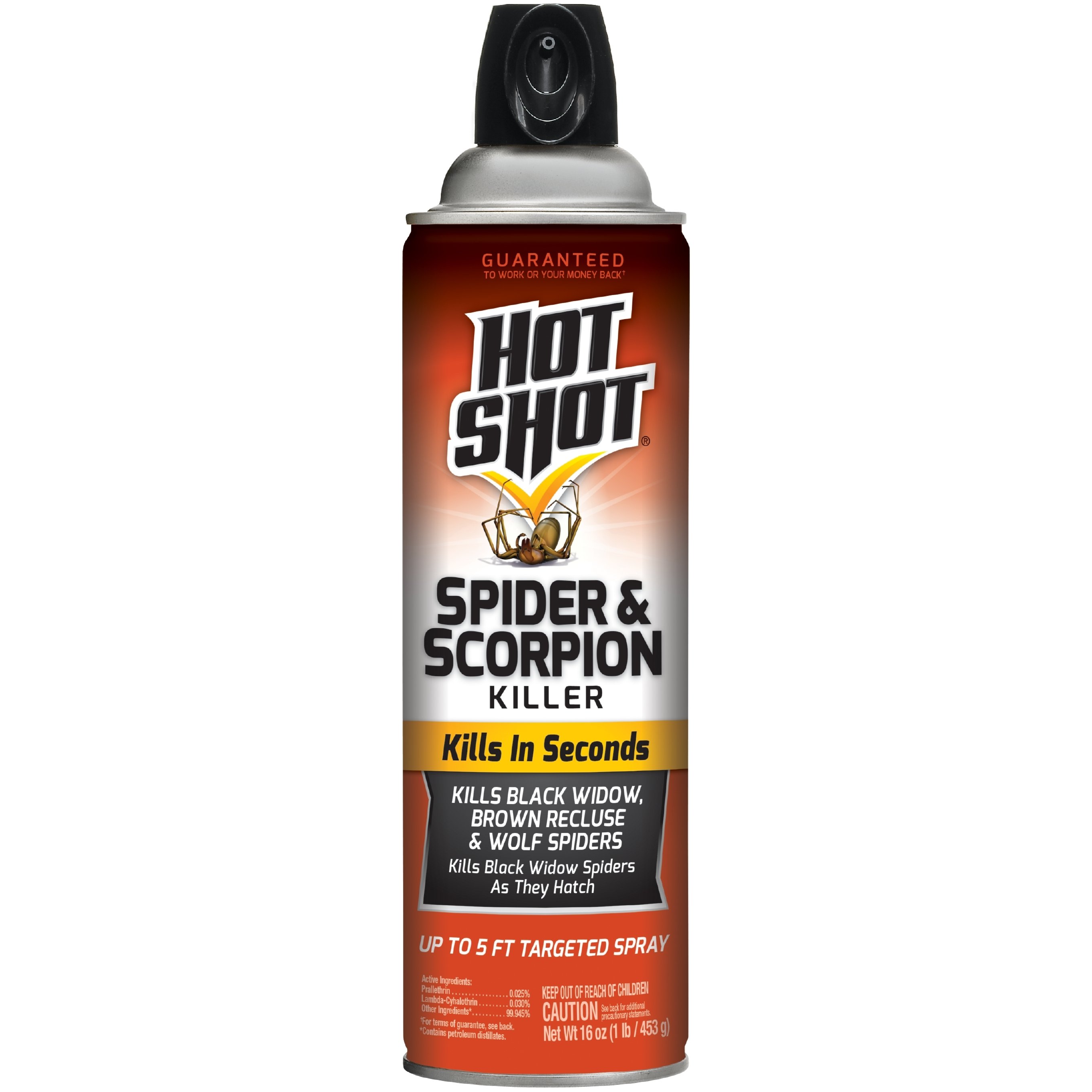 Hot Shot Spider & Scorpion Killer Spray - Shop Insect killers at H-E-B
