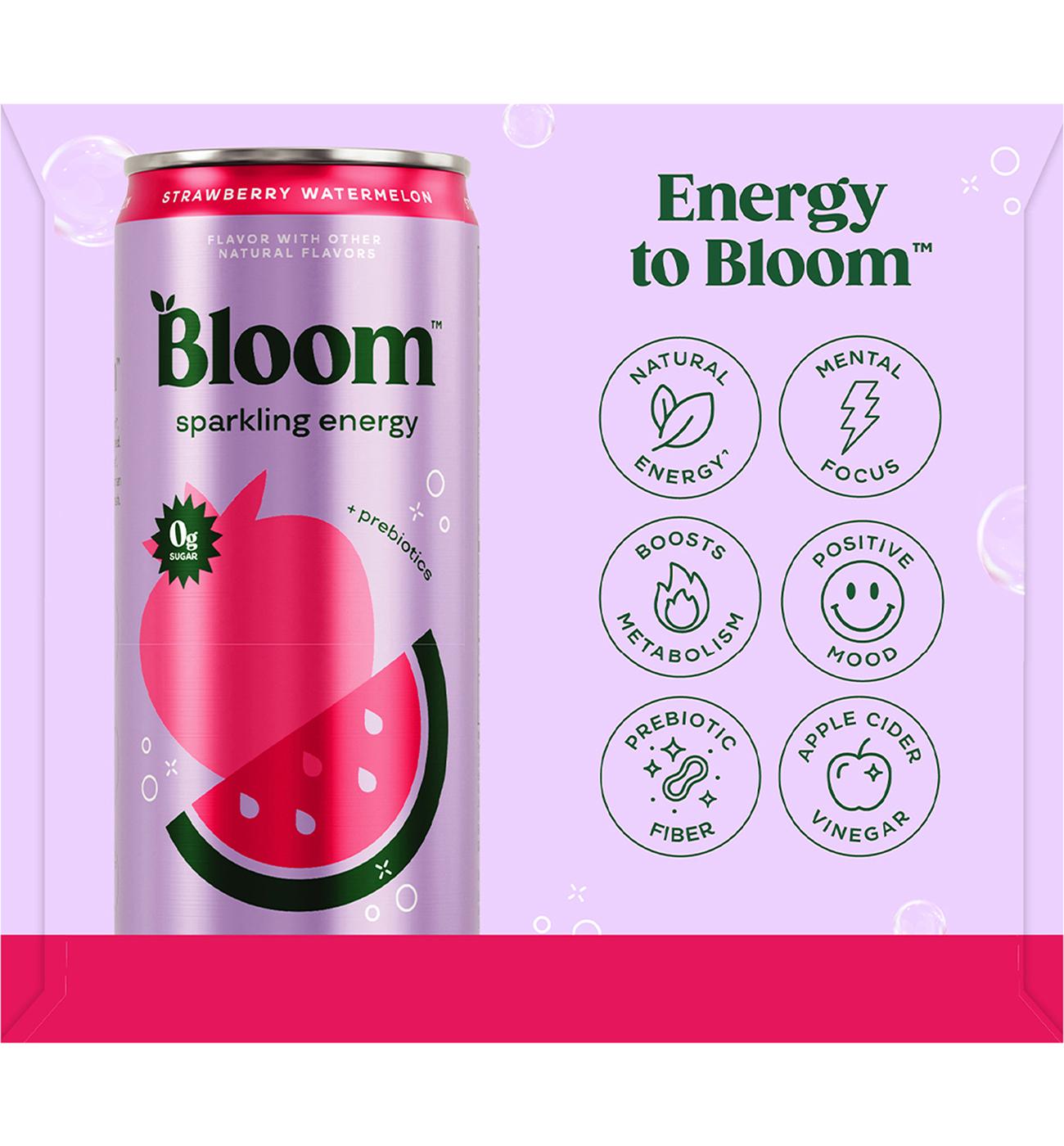 Bloom Zero Sugar Sparkling Energy Drink Variety 12 pk Cans - Shop ...