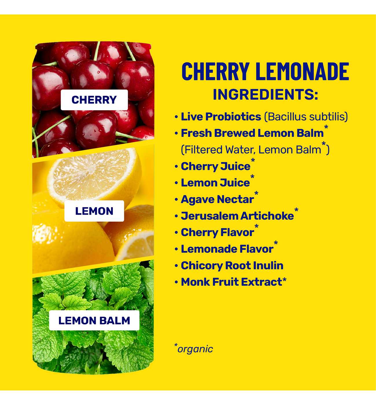 wildwonder Cherry Lemonade Prebiotic + Probiotic Sparkling Drink - Shop ...