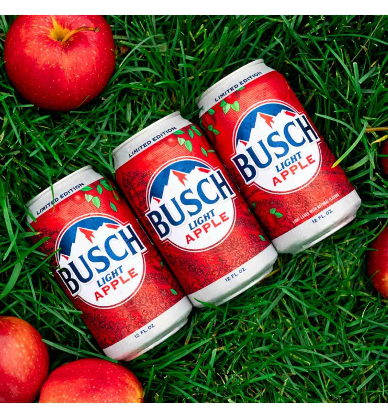 Busch Light Apple Lager Beer 30 pk Cans - Shop Beer at H-E-B