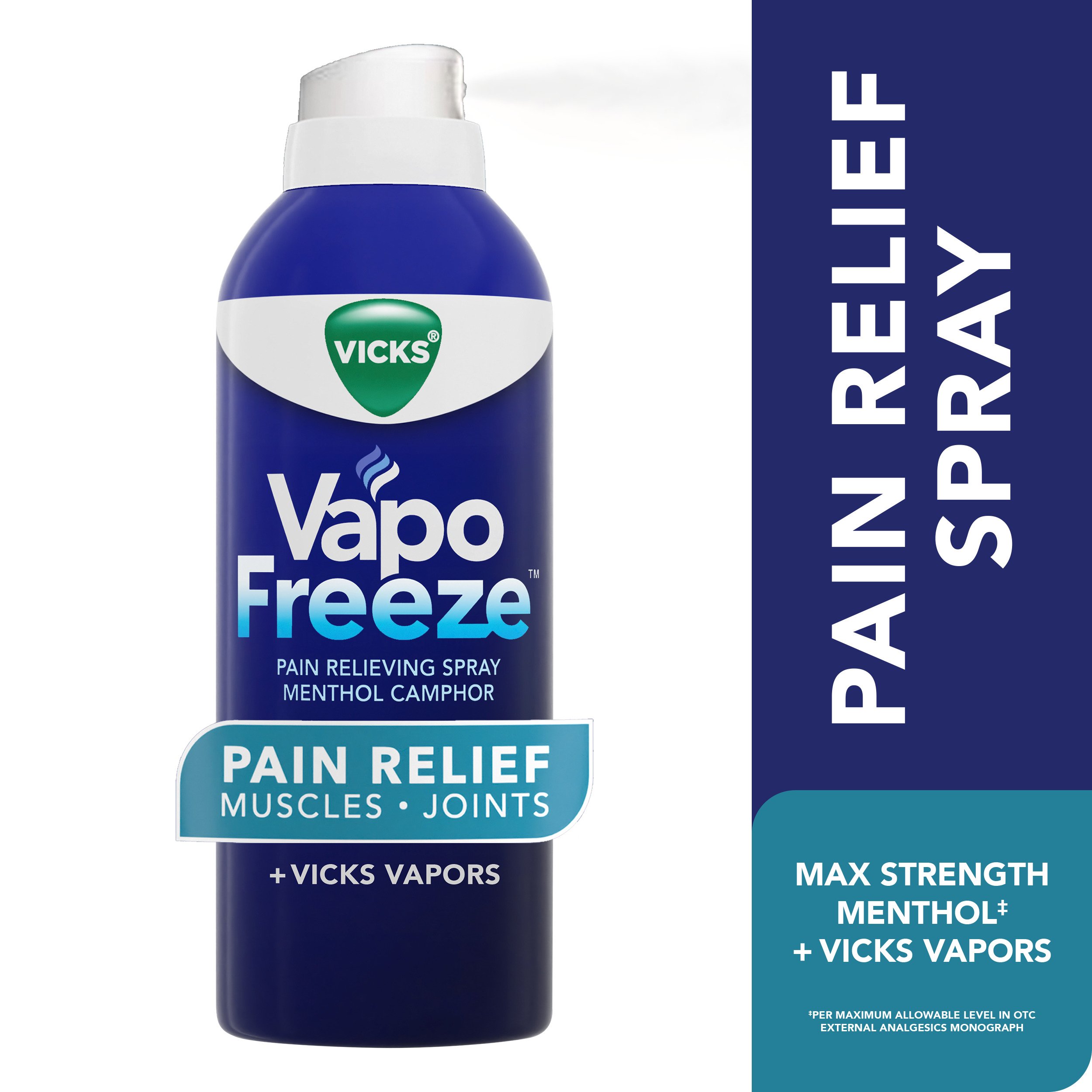 Vicks VapoFreeze Topical Pain Spray, Maximum Strength Menthol for ...