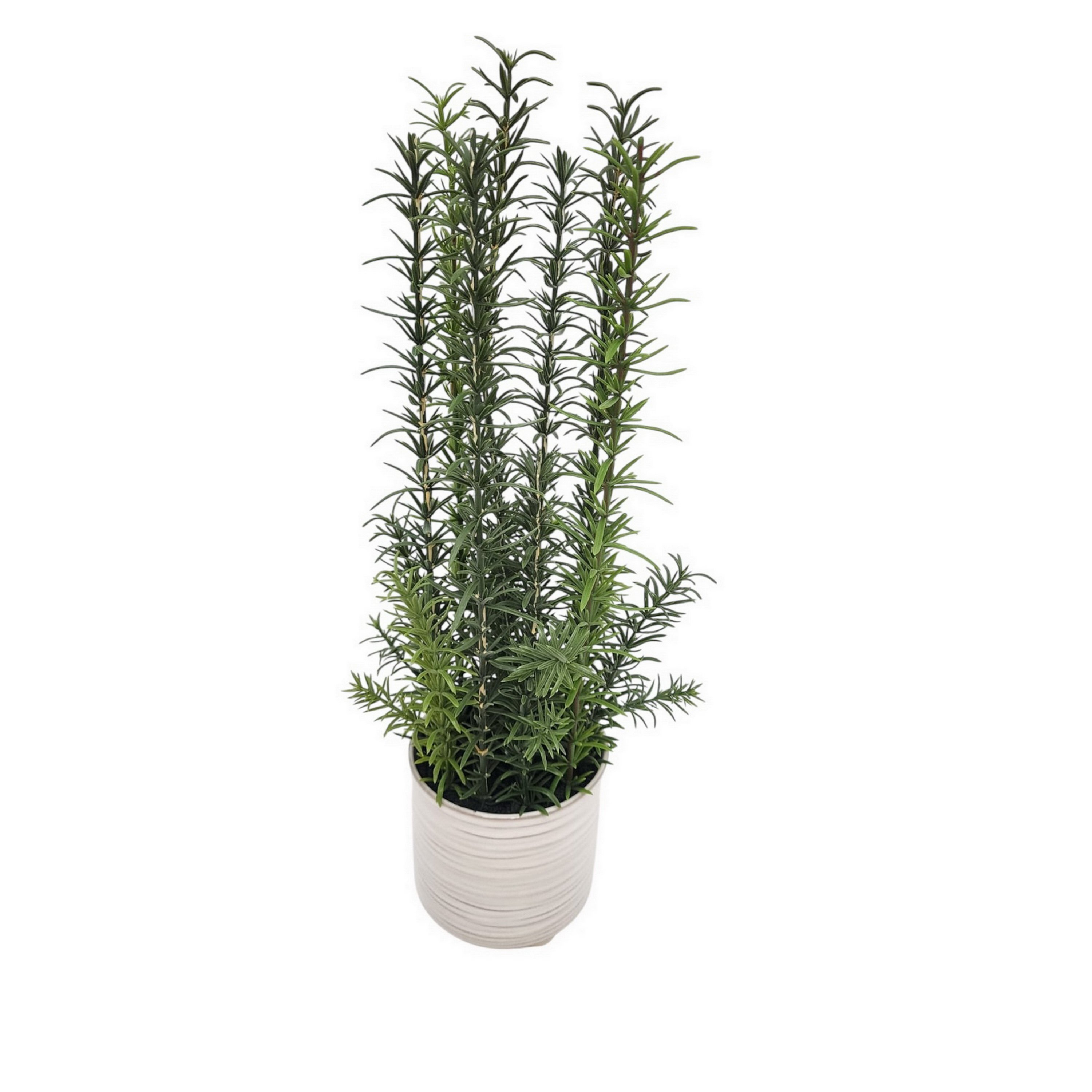 Haven + Key Rosemary Faux Botanical Plant in Ceramic Pot - Shop ...