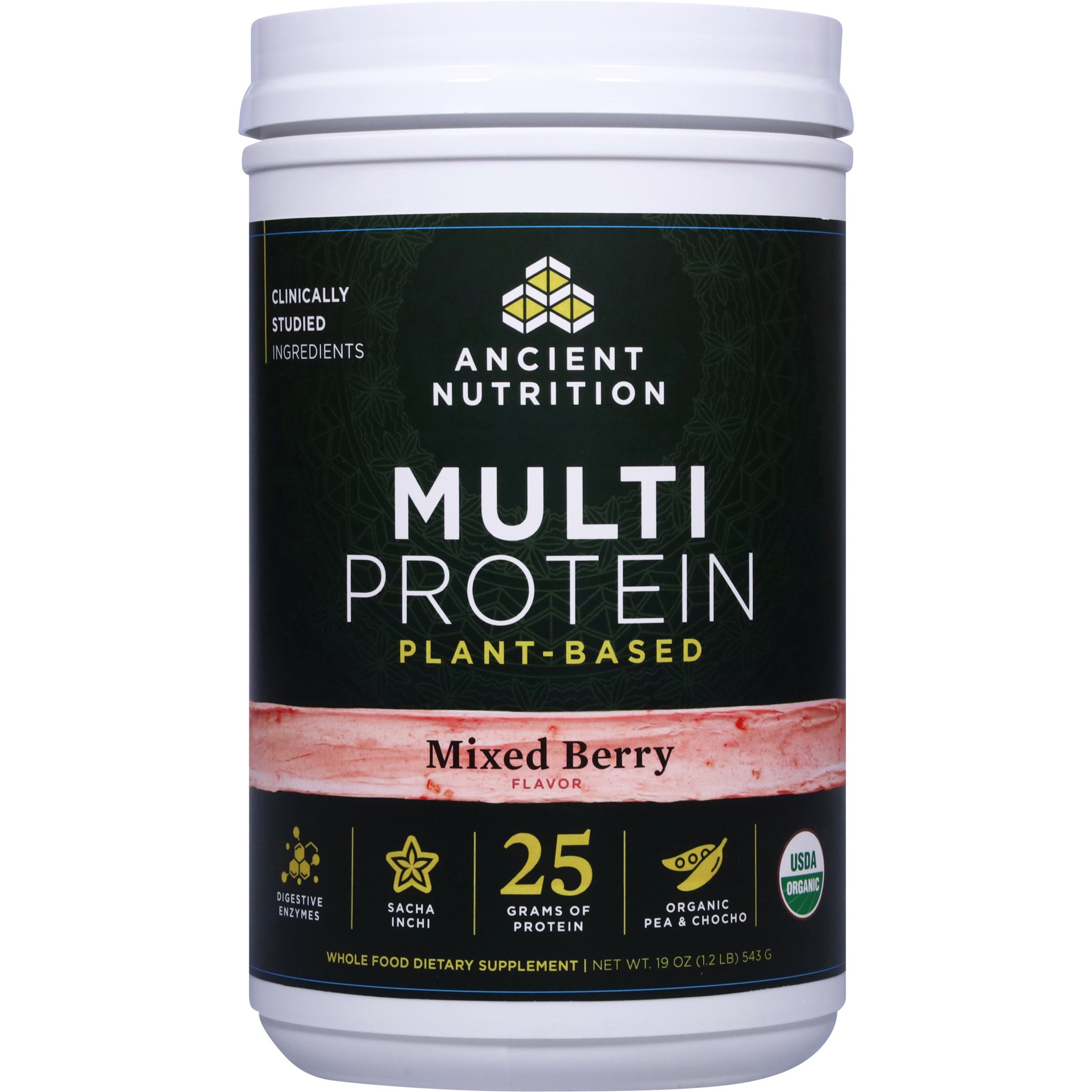 Ancient Nutrition Plant-Based 25g Multi Protein Powder - Mixed Berry ...