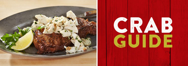Crab Guide