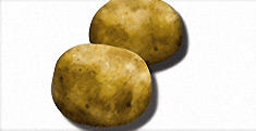 Yellow inside, this variety has a mild buttery texture. Availability is ...