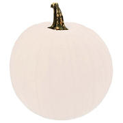 H-E-B Texas Roots Giant Pumpkin - Shop Squash & Pumpkins at H-E-B